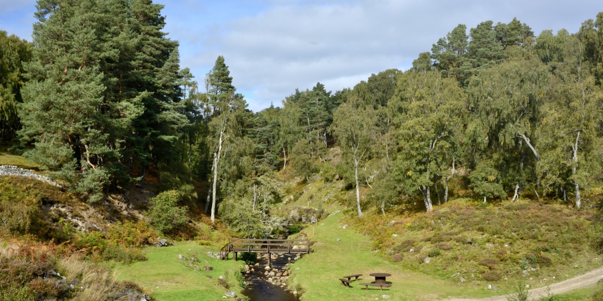 Balavil Estate, PH211LU - Forests, Woodland and Land For Sale in ...