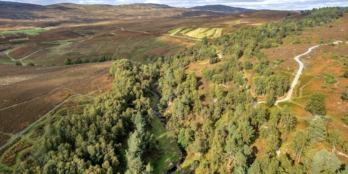 Balavil Estate, PH211LU - Forests, Woodland and Land For Sale in ...
