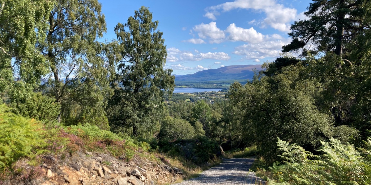 Balavil Estate, PH211LU - Forests, Woodland and Land For Sale in ...