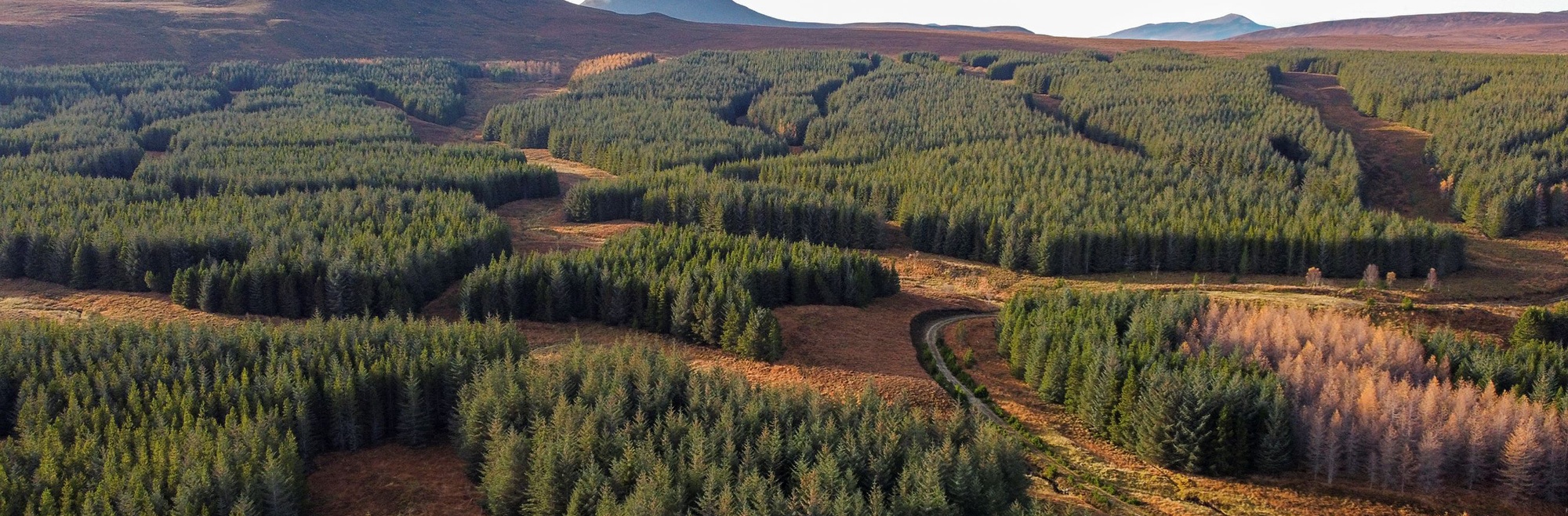 LANDFOR Chartered Land & Forestry Agency Scotland