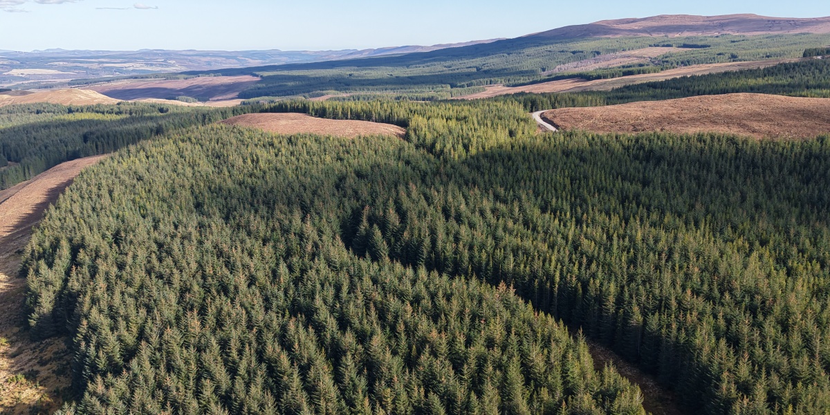 Coille Ruadh West Forest , IV27 4HE - Forests, Woodland and Land For ...