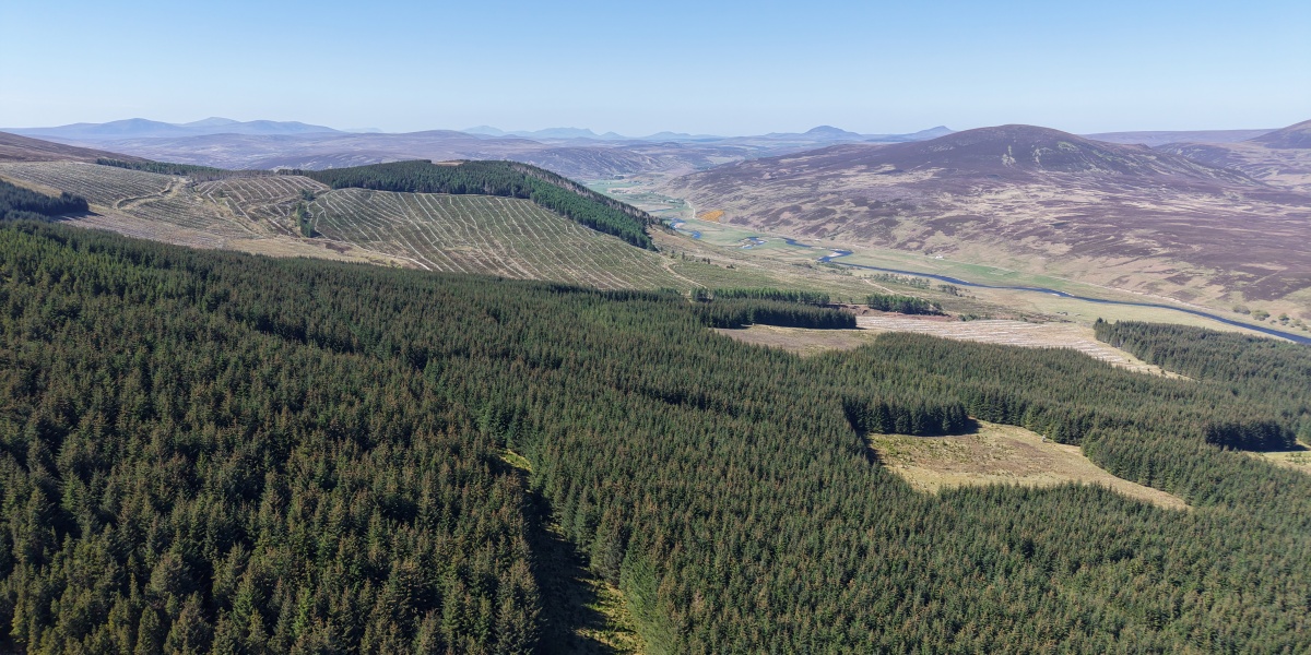 Torrish Forest , KW8 6HY - Forests, Woodland and Land For Sale in ...