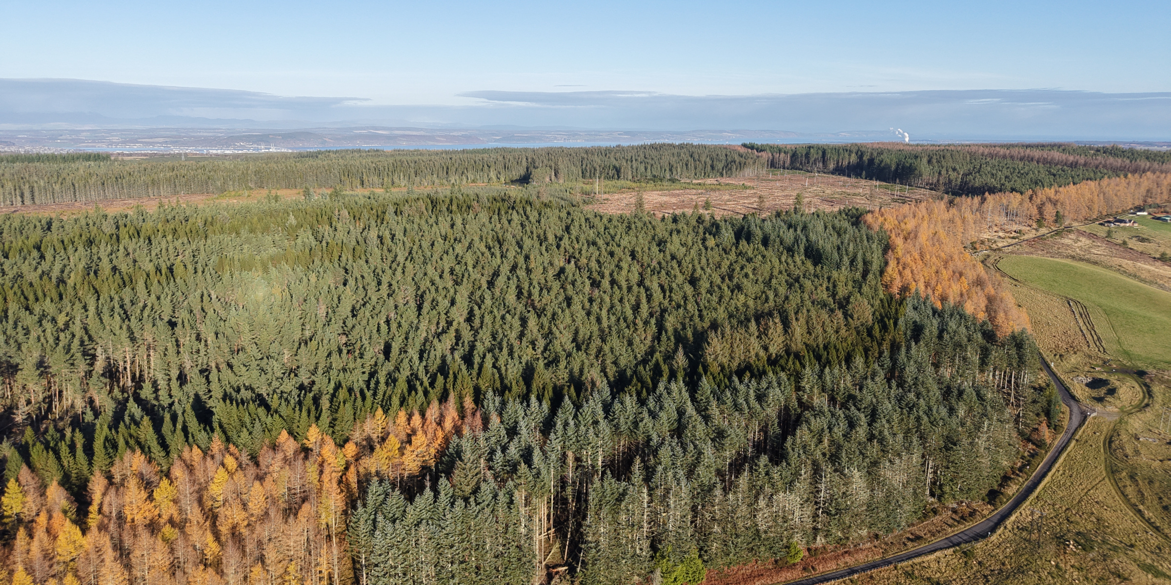 Inverernie Forest , IV2 6WG - Forests, Woodland and Land For Sale in ...