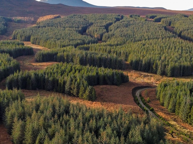 LANDFOR Chartered Land & Forestry Agency Scotland