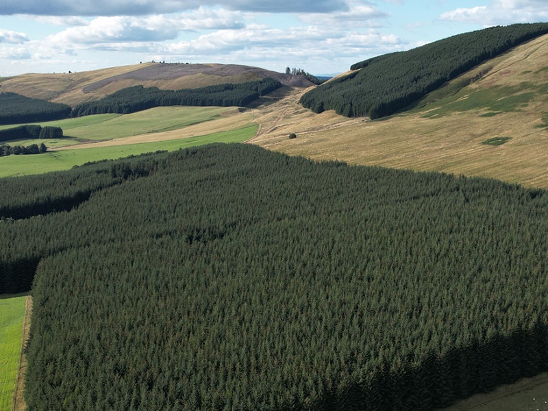 LANDFOR Chartered Land & Forestry Agency Scotland